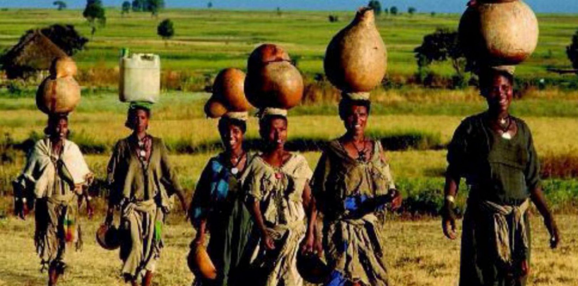 The Drinking Gourd | Malaika Mutere