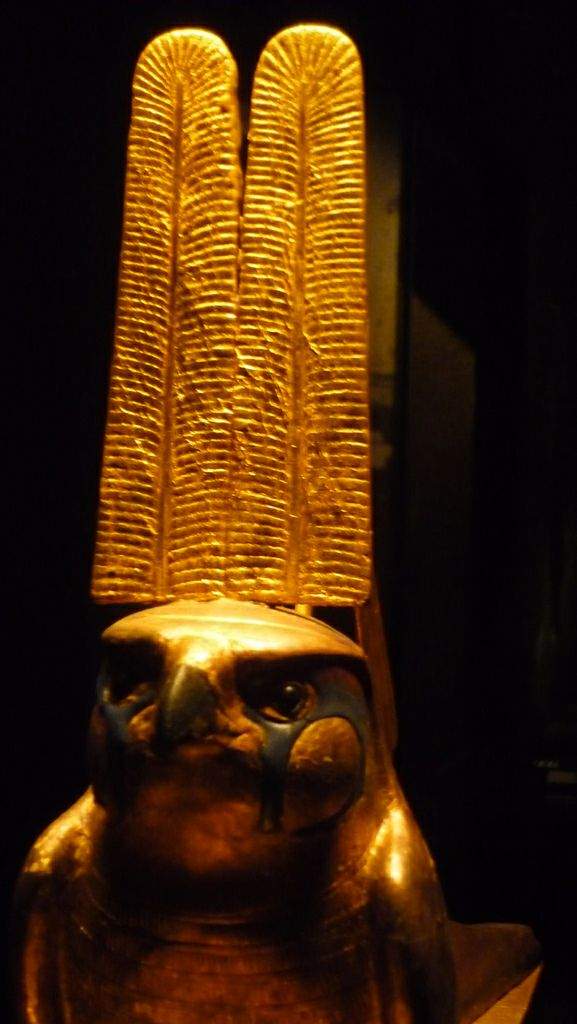 Lions Gate Portal ~ 8/8 | Malaika Mutere